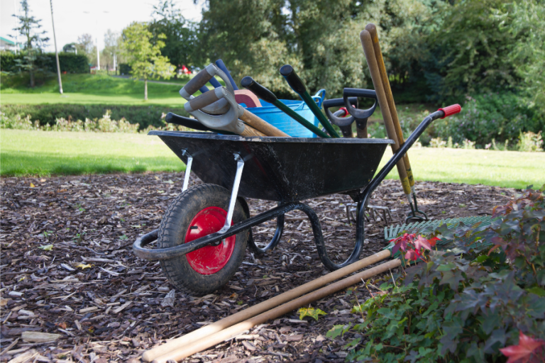 Why Garden Tools Are Important? Discover the Importance of Garden Tools ...